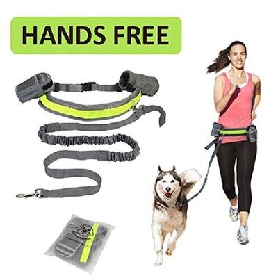 Pet Elastic Belt Collar Running Waist Dog Leash Set Hands Fr