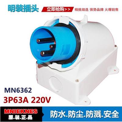 3X63A明装插头 器具插头 工业插头插座 6362单相三线2P+E IP67
