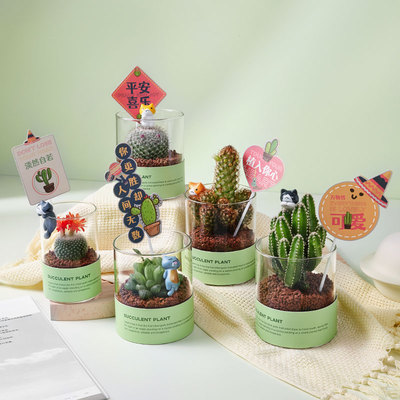 多肉植物仙人球小盆栽玉露仙人指肉肉办公桌面摆件室内仙人掌盆栽