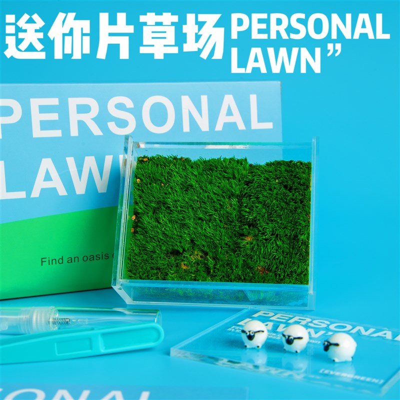 绿洲私人草坪苔藓微景观室内办z公室桌面绿植好养盆栽解压创意礼