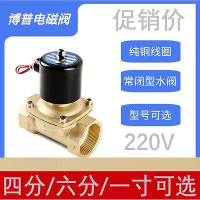 博普BOPU太阳能热水220V上水电磁阀2W-250-200-160水阀 4分6分1寸