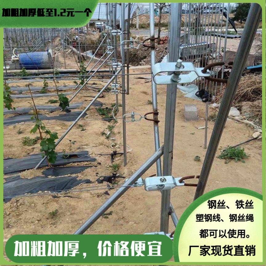 好货10个价紧丝器葡萄铁丝紧线钳大棚钢丝拉紧器猕猴桃紧绳器紧固