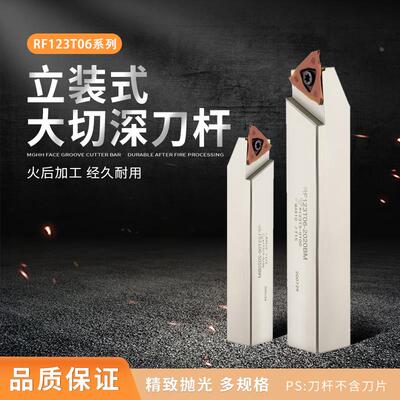 盛弗克立装式大切深RF123T06-2020BM 2525BM 1212BM走心机槽刀杆