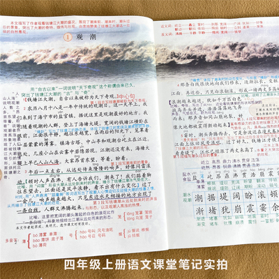 2026课堂笔记四年级上册语文课本人教版同步教材数学英语中文翻译重点解析原文讲解4年级上学期预习资料北师大版教材全解随堂笔记