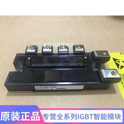 PM150CL1A060 PM75RLA060 PM100RL1B060 PM150RL1A060 PM50CL