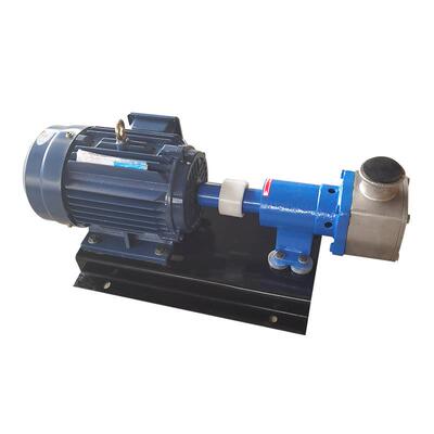 RZB挠性泵高粘度泵304不锈钢齿轮泵自吸泵转子泵化工污水自吸泵