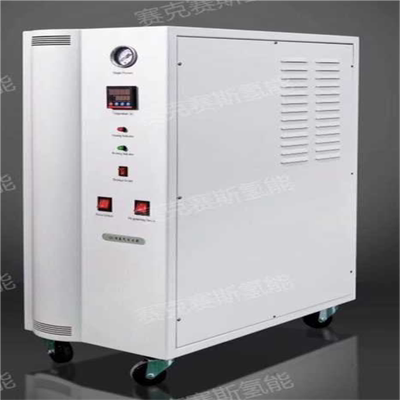 赛克塞斯高纯氮气发生器，型号S-N500，气相色谱仪氮气~议价