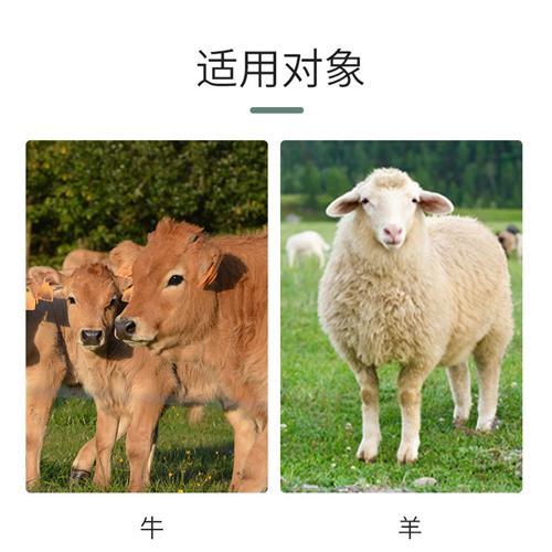 牛羊布病检测卡兽用检测试纸布鲁氏杆菌奶牛布病抗体检测卡测试纸