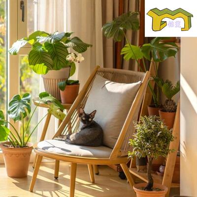 户外桌红椅藤椅院阳台茶庭桌椅子休A-097闲布置区网一桌二椅组合