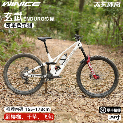 WINICE玄武软尾速降避震车架