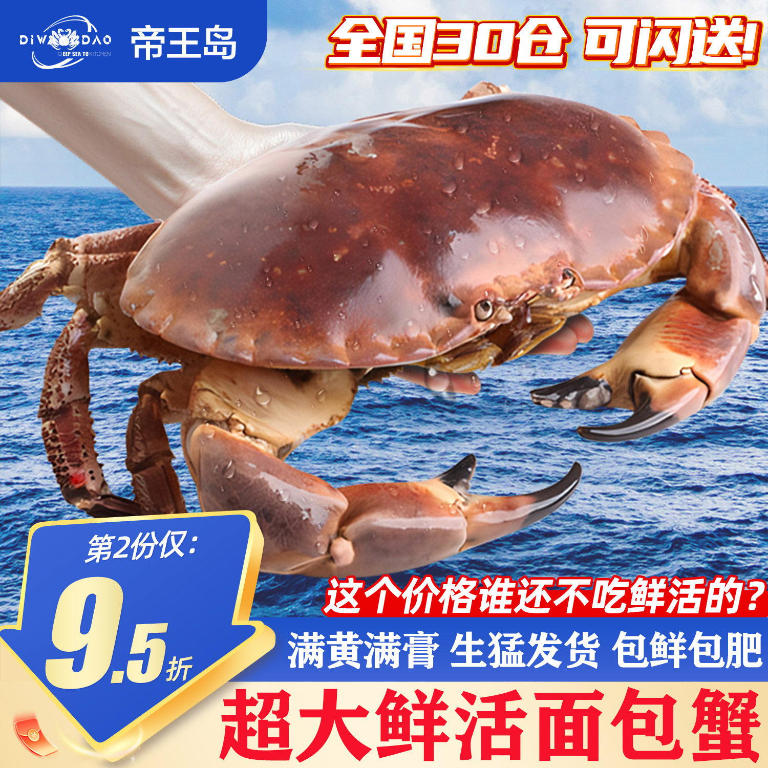 【活蟹】面包蟹鲜活超大黄金蟹母蟹膏蟹鲜活帝王蟹海鲜蟹类水产