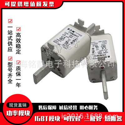 170M3927 170M3928 170M3929 170M3930巴斯曼熔断器现货170M3931