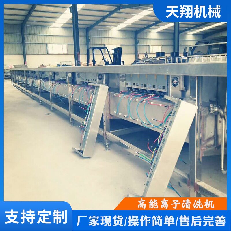 高能离子清洗机 全自动蔬菜水果清洗机 商用不锈钢叶菜类清洗机