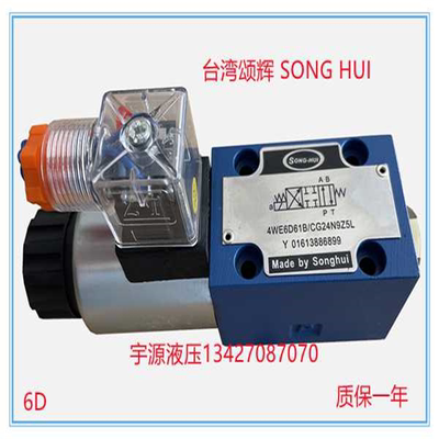 4WE6A 6D 6C 6EA 6HA 61B/CW220-50N9Z5L液压电磁换向阀CG24N9ZL