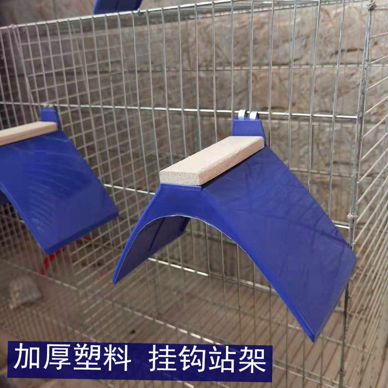 赛鸽信鸽专用塑料蛋窝 鸽子挂钩站架鸽子用用具鸽具栖架站架