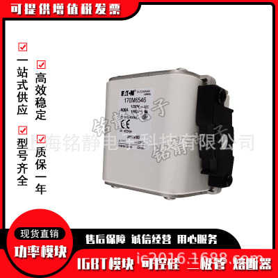 巴斯曼熔断器170M6563-170M6567
