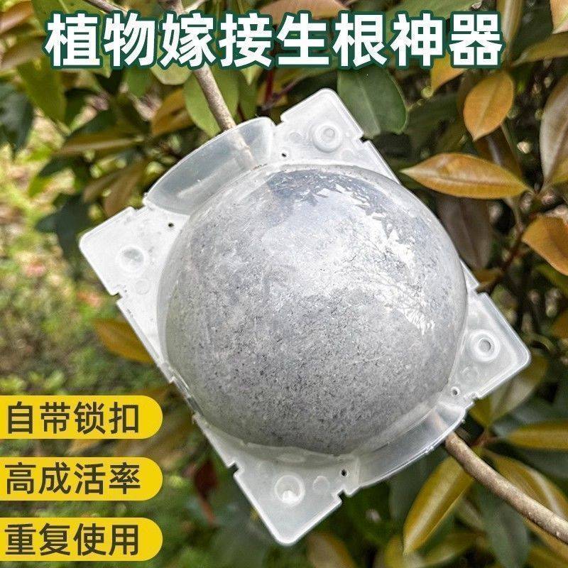 高压嫁接盒果树嫁接树枝生根器植物月季繁殖器家用育苗神器自动扣