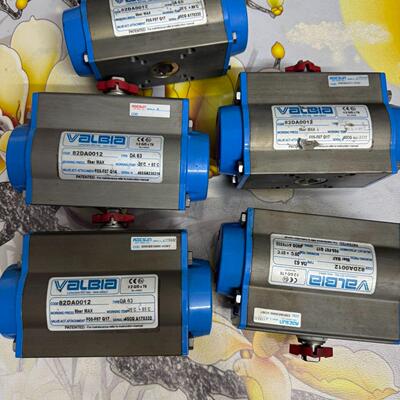 82DA0012 VALBIA 气动执行器 工业自动化控制元件议价维修