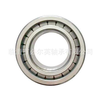 带密封双列满0圆柱5轴承长寿命SL045044PPSL4048DKBPPSL装045052P