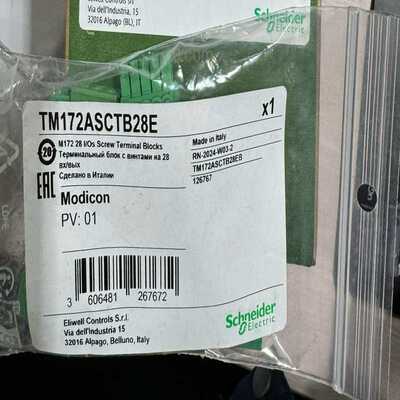 TM172asctb28e17只2024年8月议价