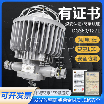 矿用隔爆型LED巷道灯DGS60/127L防爆灯40W45W48W50W地下隧道灯
