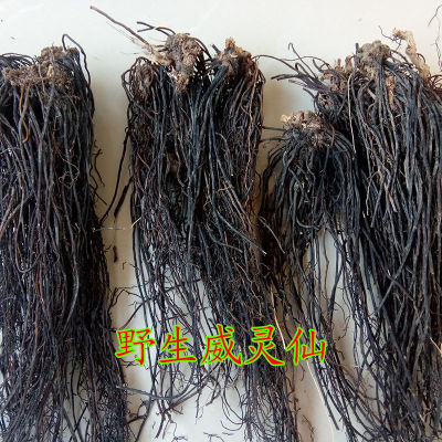 野生威灵仙正品铁脚威灵仙新鲜晒干野生威灵仙全草山辣椒秧整根
