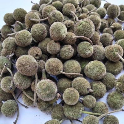 野生构树果楮实子原生态中药材果实干品野生杨梅晒干新鲜构树果