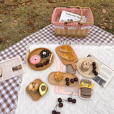 速发野餐垫垫用品露营防潮防加厚野餐布户外野炊草坪沙滩风子垫水
