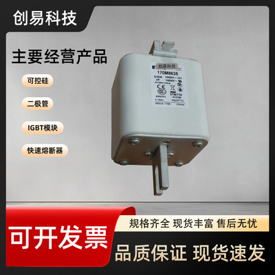 170M8629 170M8630 170M8631 170M8632 170M8633熔断器170M系列