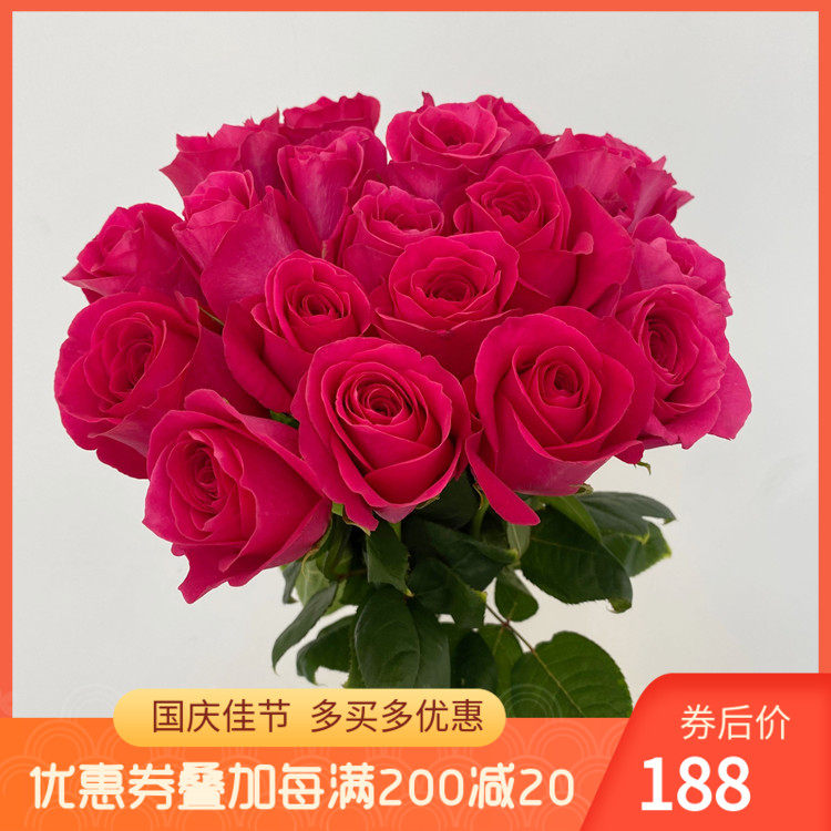 A级玫瑰直批 弗洛伊德鲜切花 大桃E红花朵 家居水瓶插花 同城闪送