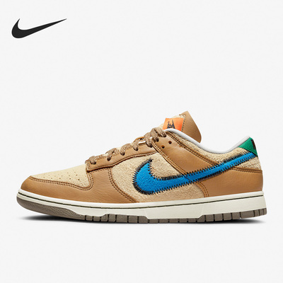 Nike/耐克正品男子板鞋