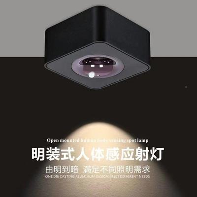 w%人感灯吸顶式体led天花灯体入户门口玄关MRX感应过道灯人身应感