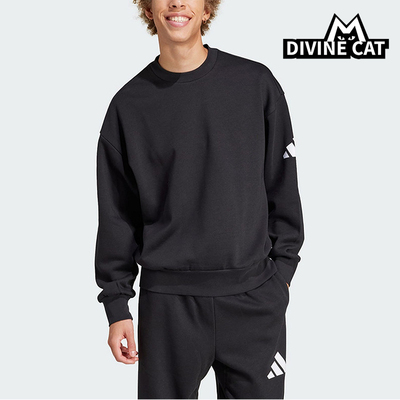 Adidas/阿迪达斯正品2025冬季款男士日常圆领套头耐穿卫衣JF3542