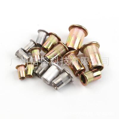 9铝00PCS盒装铆螺FS010356竖母套彩装拉铆不锈钢镀锌纹螺母组合