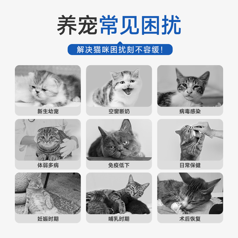 乳铁蛋白猫补充营养猫咪幼猫怀孕DHA抵抗免YI力