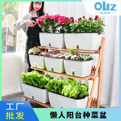 欧林泽种菜盆家用长方形种菜盆自吸水特大号种菜盆阳台懒人种菜盆