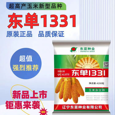 东单1331杂交玉米种子东亚小钢炮