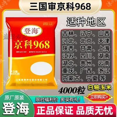 登海京科968高产玉米种子春夏播