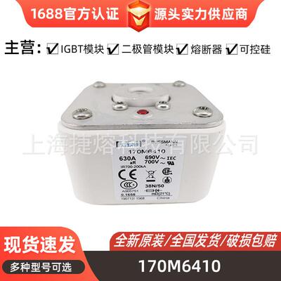 170M6410 170M6411 快速熔断器 保险丝 电子元器件 量大价优