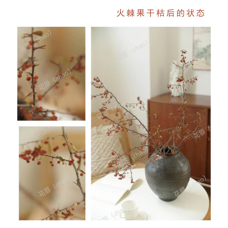 花曌 秋冬花材火棘果鲜切枝w水培鲜花真花果实家居瓶插花可做干燥