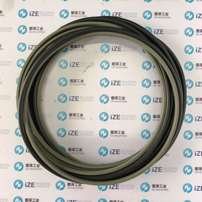 B+S密封圈RSK301600-T46N现货供应爱泽工业