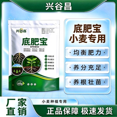 兴谷昌小麦底肥宝小麦粒粒饱生根壮苗籽粒饱满小麦长势稳健丰产