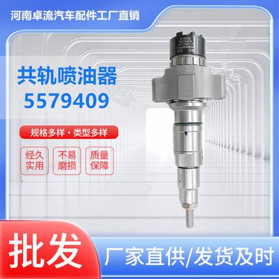 ISL ISC柴油发动机零件喷油器2872331 5579409