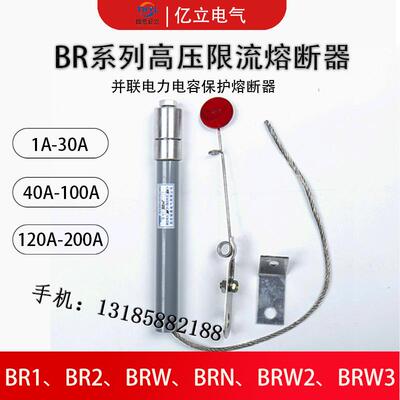 BR1-12KV电力电容保护用BR2-10KV/65A70A72A高压限流熔断器