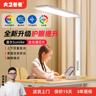 大卫爸爸全光谱紫光大路灯