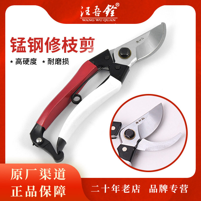 园林剪刀修剪树枝果树园艺工具花艺剪整枝修枝剪2202园艺剪汪吾铨