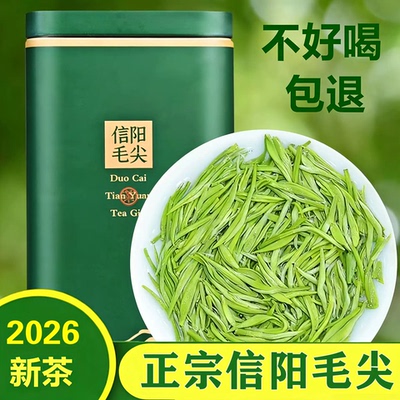 绿茶茶叶信阳茶叶2026新茶雨前特级嫩芽浓香型绿茶散装250g罐装