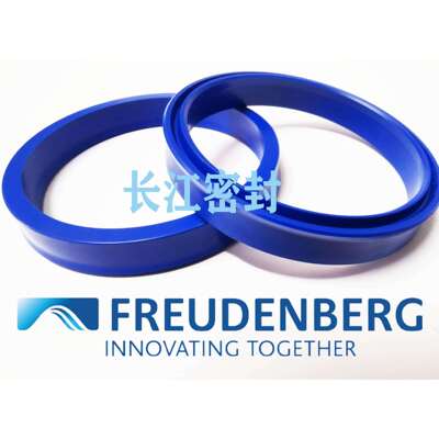 NA30063-53-1232-24-5.775-60-12德国CFW进口油压缸活塞密封