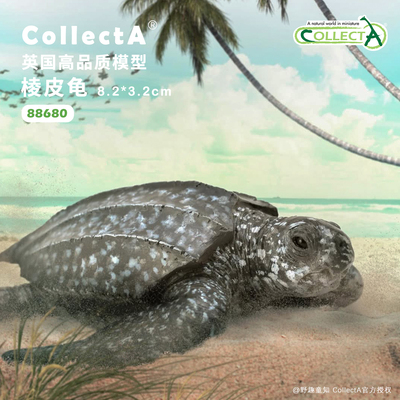 【88680棱皮龟】CollectA官方授权正版动物模型早教玩具海龟公仔