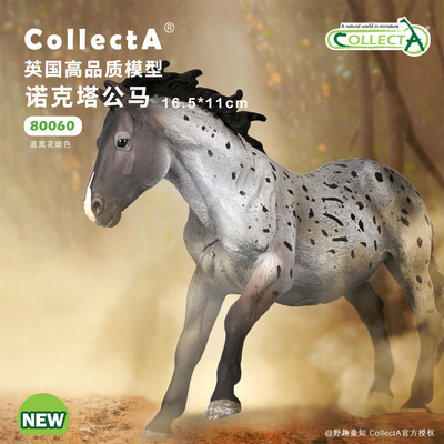 【顺丰包邮】努卡特公马 -蓝黑花斑色COLLECTA我你他骏马模型2026
